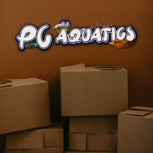 Accessories – PC Aquatics